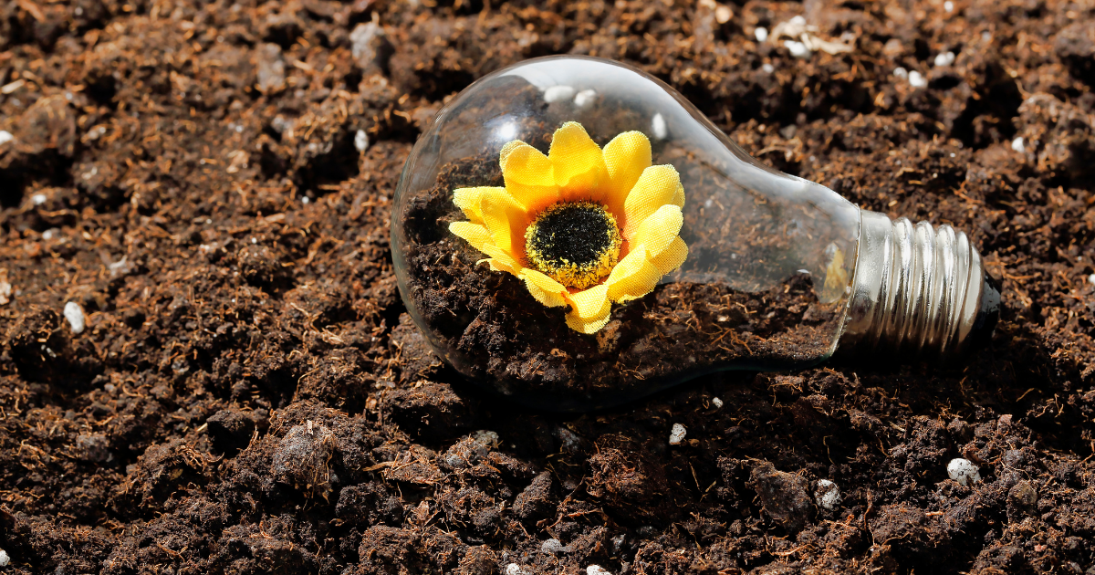 5 Springtime Energy Saving Tips | Transformation Electric